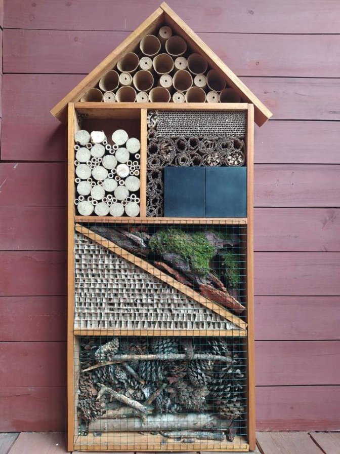 Um Hotel de Insetos com a marca Curtir Ciência - Mais Guimarães