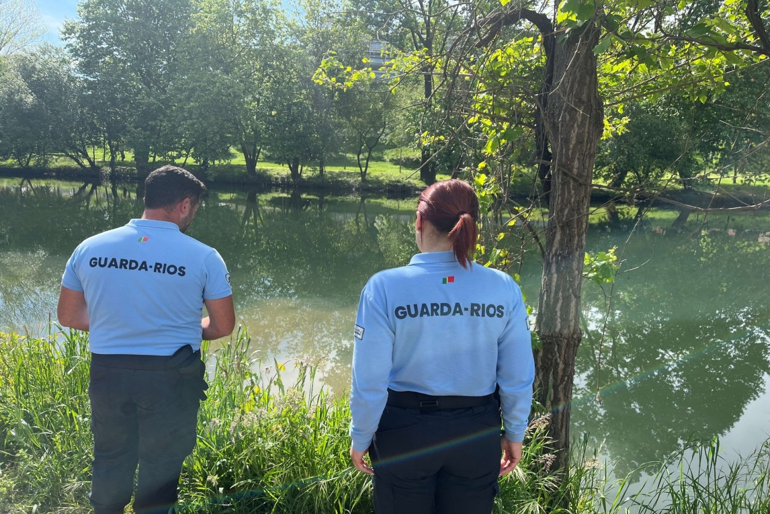 Guarda-rios denunciam foco poluidor no Rio Ave que origina levantamento ...